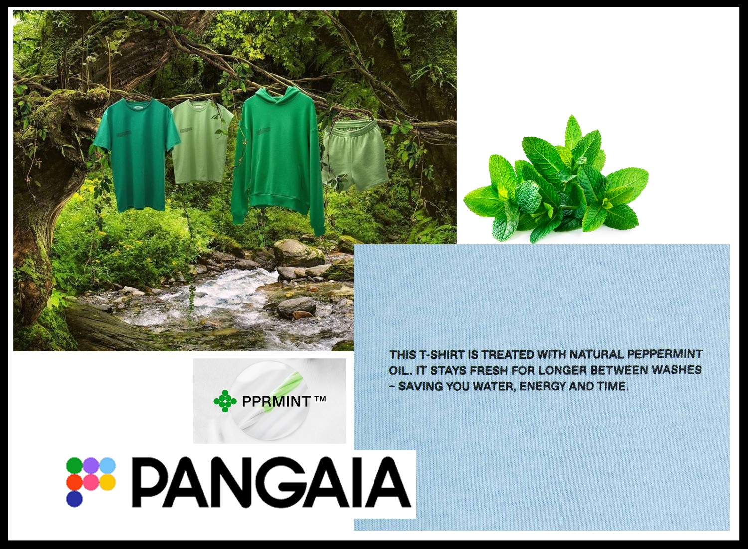 PANGAIA - THE ETHICAL CLOTHING BRAND WE NEED TO KNOW ABOUT